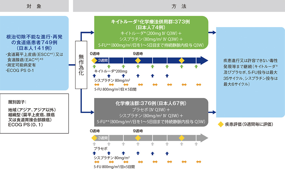 KEYNOTE-590試験（1次治療：化学療法併用） | 臨床成績 | MSD Connect