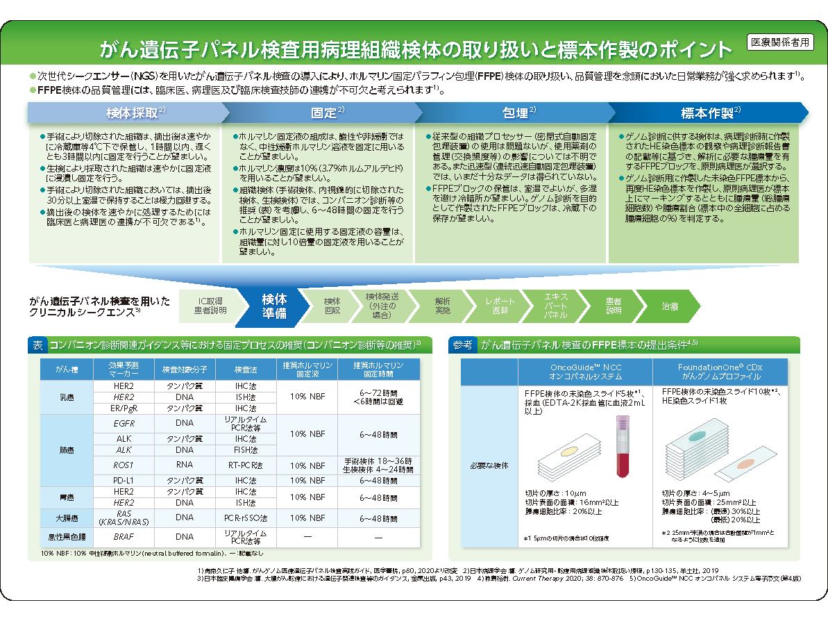 TMB-High固形癌とは | キイトルーダ® TMB-High固形癌 | MSD Connect