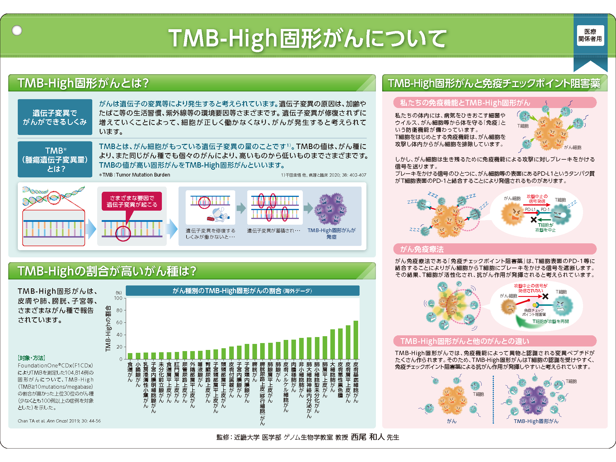 キイトルーダ® TMB-High固形癌 TOP | MSD Connect