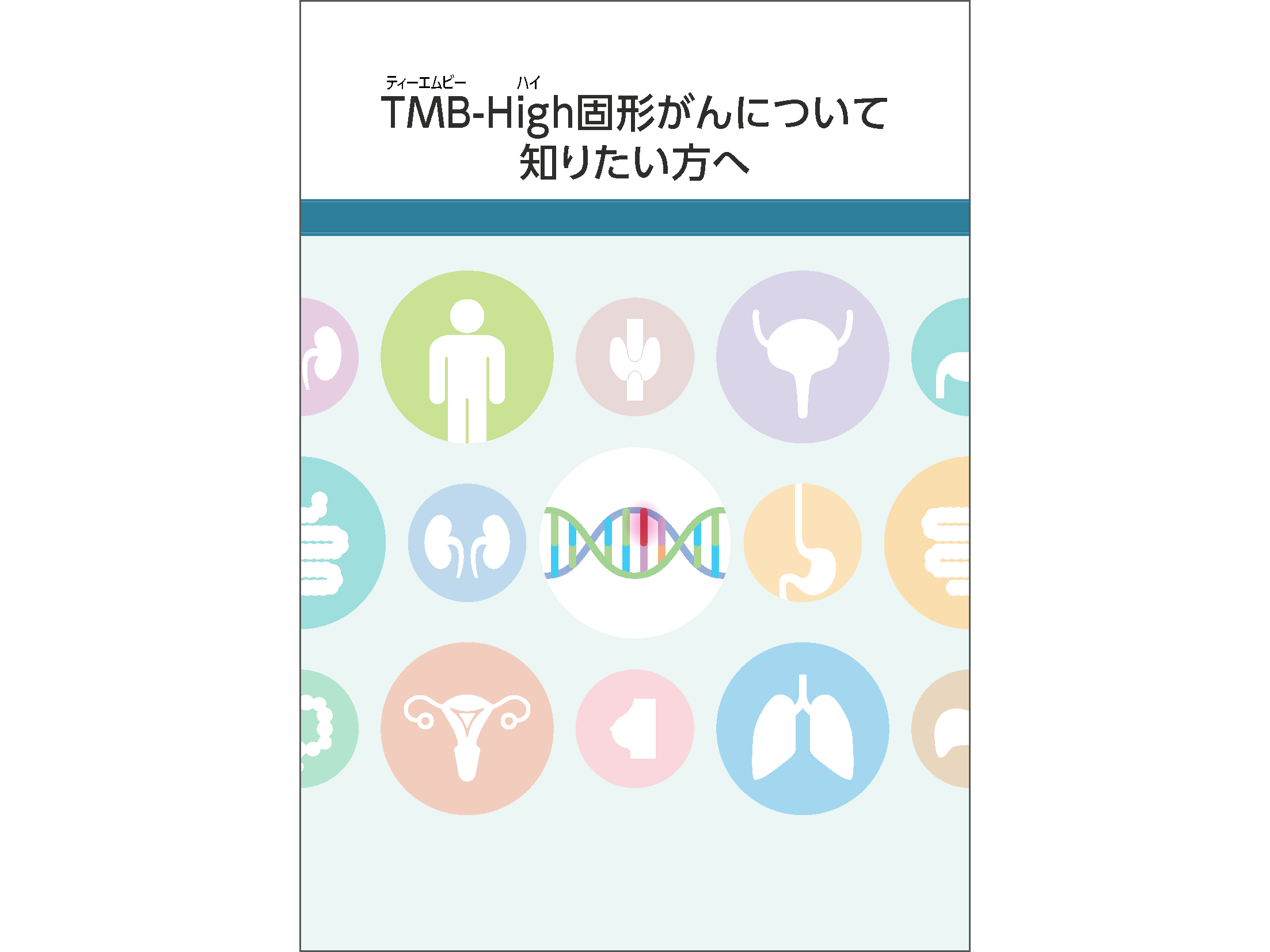 キイトルーダ® TMB-High固形癌 TOP | MSD Connect