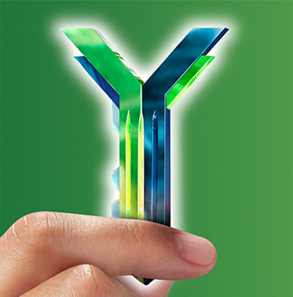 キイトルーダ®悪性胸膜中皮腫TOP | MSD Connect