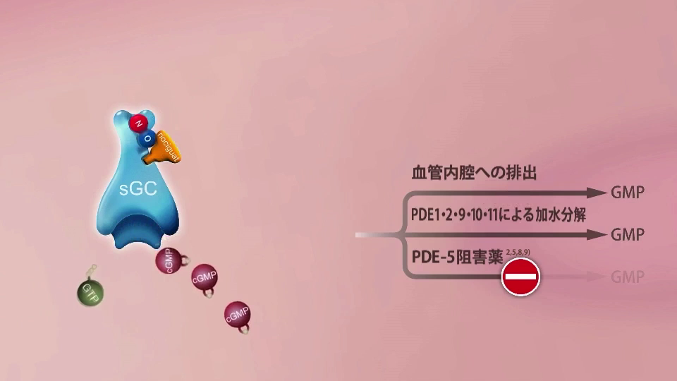 解説動画 | アデムパス®TOP | MSD Connect