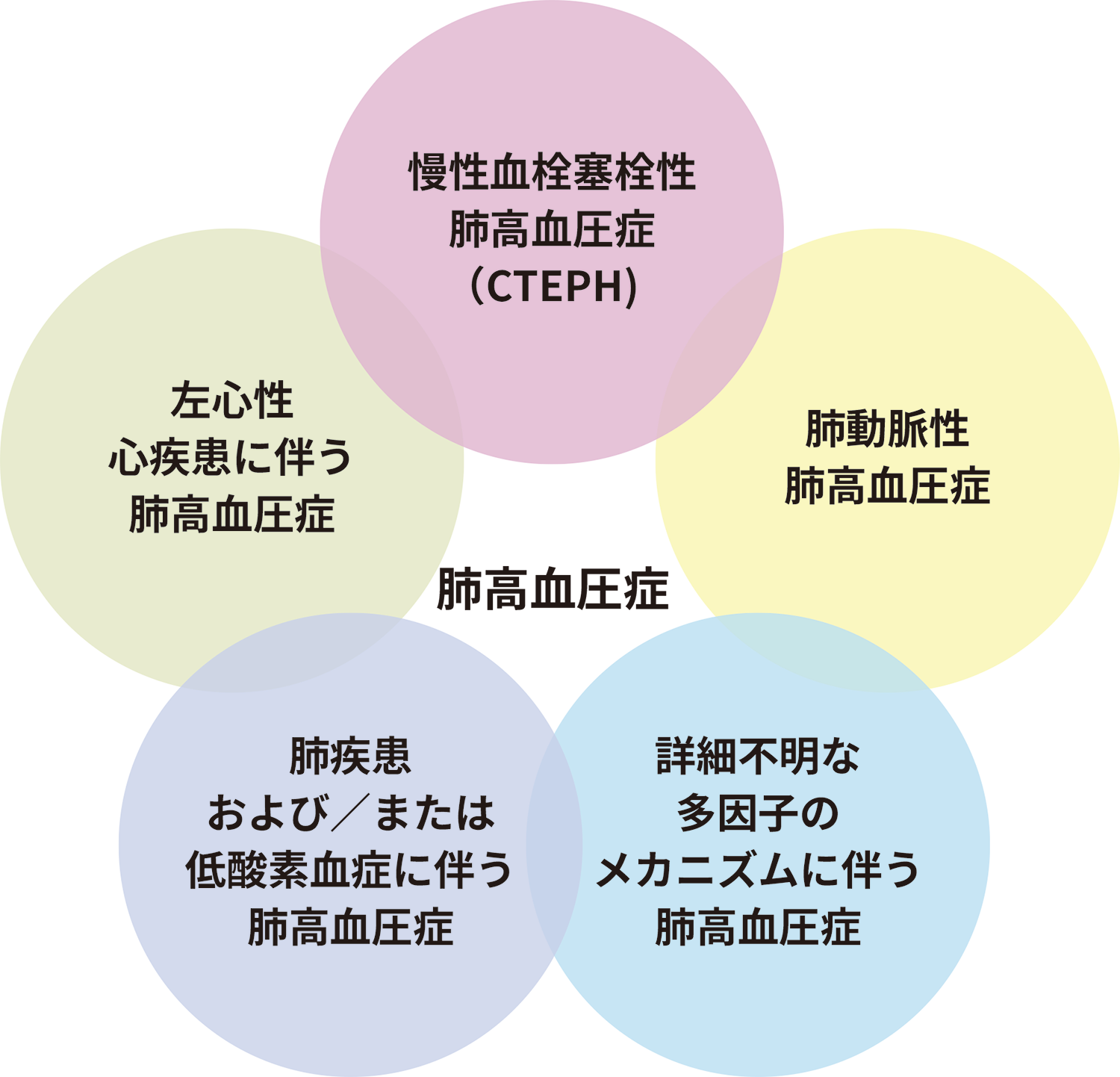 CTEPH （慢性血栓塞栓性肺高血圧症） | MSD Connect