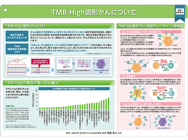 TMB-High固形癌とは | キイトルーダ® TMB-High固形癌 | MSD Connect