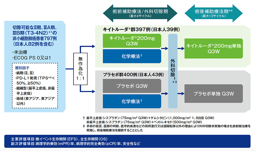 KEYNOTE-671試験 | MSD Connect