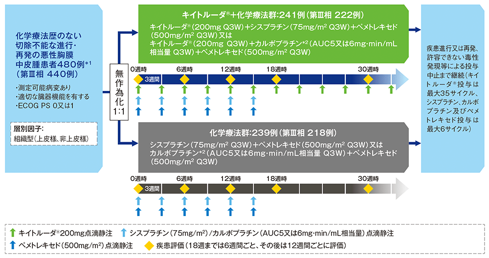 KEYNOTE-483試験 | 臨床成績 | MSD Connect